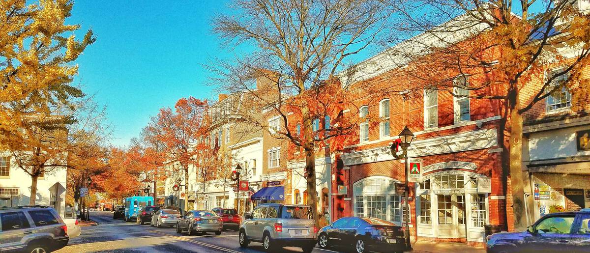 Discover Waterfowl Festival 2025 in Easton, MD