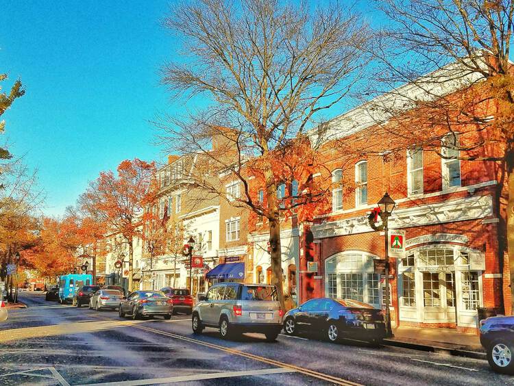 Discover Waterfowl Festival 2025 in Easton, MD